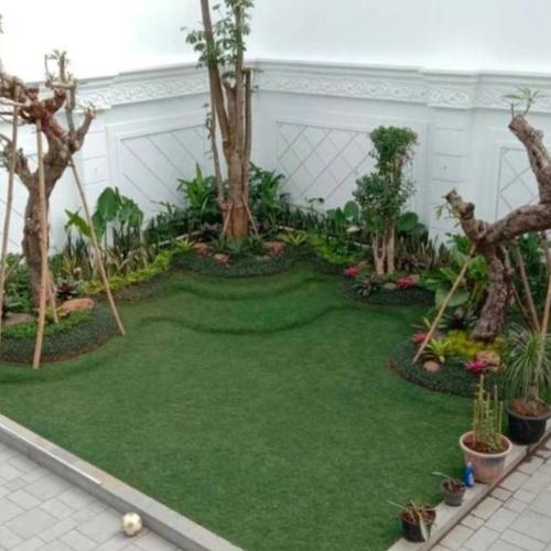 Jual Disen taman pakai pohon Kamboja fosil dan pule - Kota Serang ...