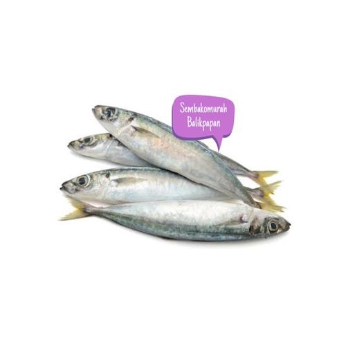 Jual Ikan Layang Segar Selalu Fresh - 500 Gram - Kota Balikpapan ...