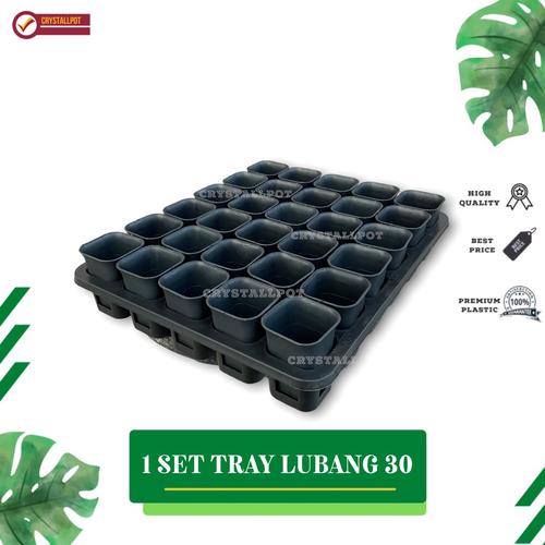 Jual 1 SET TRAY LUBANG 30 + POT NKT KOTAK 5CM HITAM 30 PCS | TRAY SEMAI ...