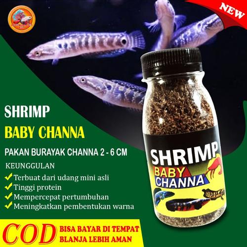 Jual Pakan Burayak Channa 2-6 cm udang mini pakan anakan Channa shrimp ...