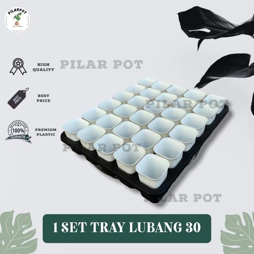Jual 1 SET TRAY LUBANG 30 + POT NKT KOTAK 5CM PUTIH 30 PCS | TRAY SEMAI ...