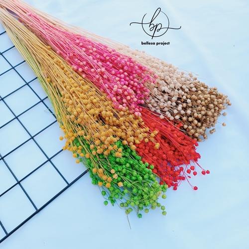 Jual DRIED LINO BUNGA KERING - Kuning - Kota Surabaya - Bellesa Project ...