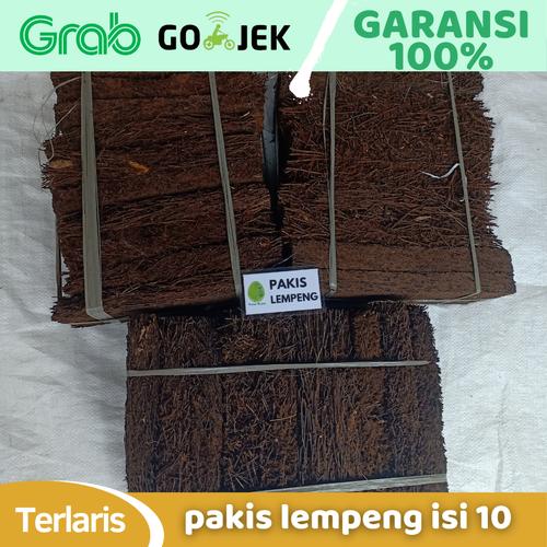 Jual PAKIS LEMPENG PAPAN / KAYU PAKIS media tanam ANGGREK ISI 10 - Kota ...