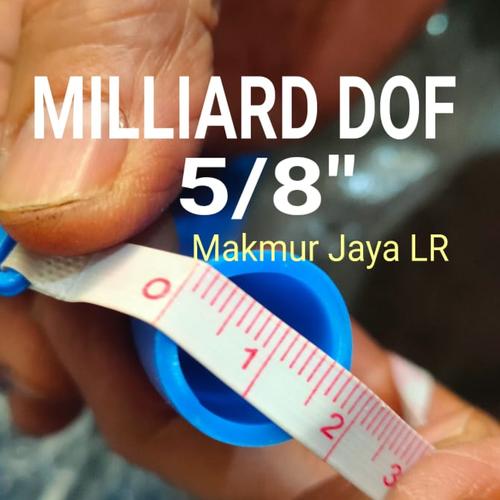 Jual Selang Air 1/2" 5/8" 3/4" 1" MILLIARD DOF SUPERFLEX 1/2 5/8 3/4 1 ...