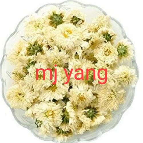 Jual white chrysanthemumFlower tea teh bunga krisan putih teh 1kg ...
