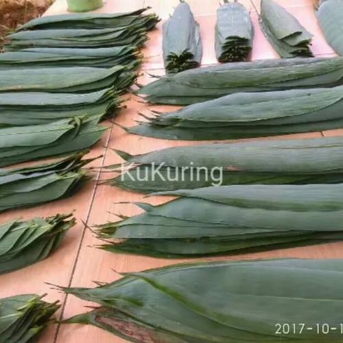 Jual 100 LEMBAR DAUN BACANG / DAUN BAKCANG / DAUN KICANG / DAUN BAMBU ...