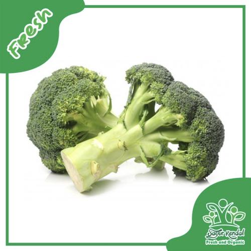 Jual Brokoli Segar - Sayur Kendal Jogja - 250Gr - Kab. Sleman - Sayur ...
