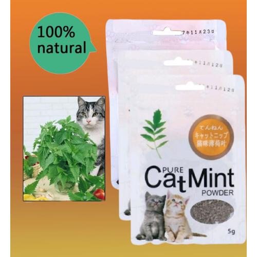 Jual Catnip catmint cat mint - PURE CATMINT POWDER - BIKIN FLY KUCING - Kab. Sidoarjo ...