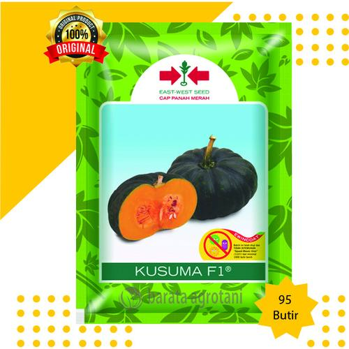 Jual Benih Labu Kuning KUSUMA F1 Cap Panah Merah Isi 95 Butir - Kab ...