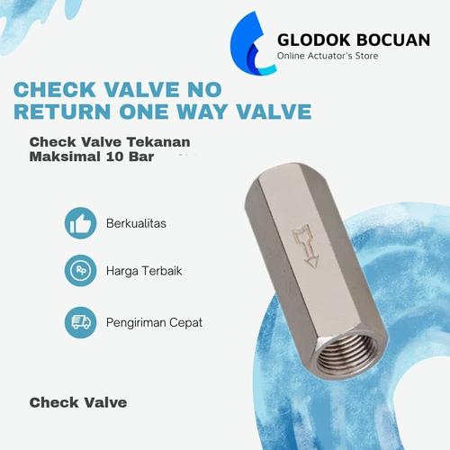 Jual CHECK VALVE ONE WAY VALVE NO RETURN VALVE HEXAGONAL - 1/4 inch ...