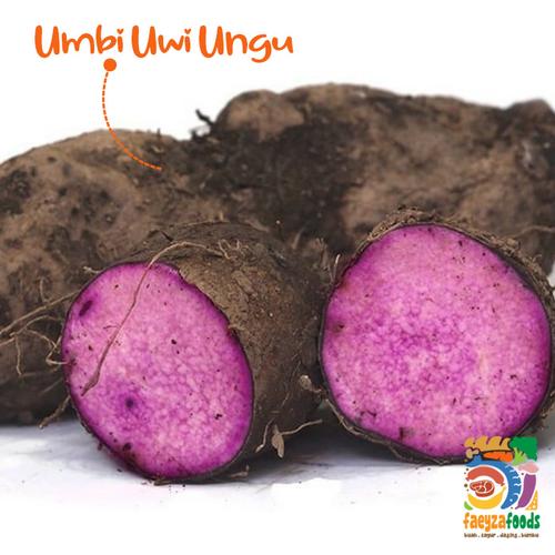 Jual Umbi Uwi Ungu / Ubi Uwi Ungu / Uwi Ungu Segar / 1kg - Kota ...