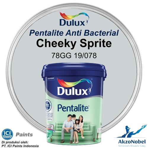 Jual CAT DULUX PENTALITE 20 LT - CHEEKY SPRITE 84BG 66/028 - Jakarta ...