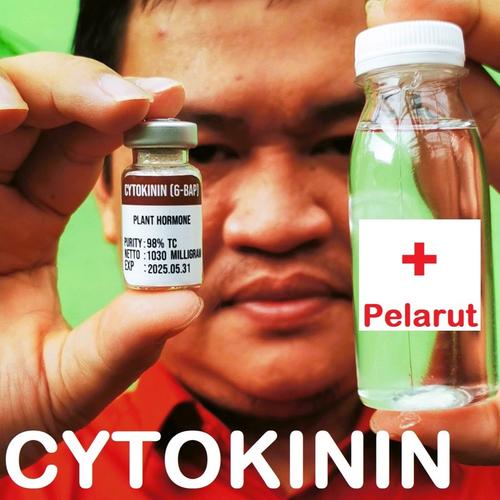 Jual Hormon Cytokinin Sitokinin 6-BAP Murni Serbuk Powder Botol Vial ...