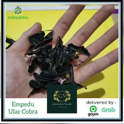 Jual Empedu Ular Kobra / Cobra Asli untuk Herbal gratis kapsul kosong ...
