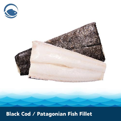 Jual Ikan Black Cod Fillet Wild Caught Fish Premium Chilean Sea Bass ...