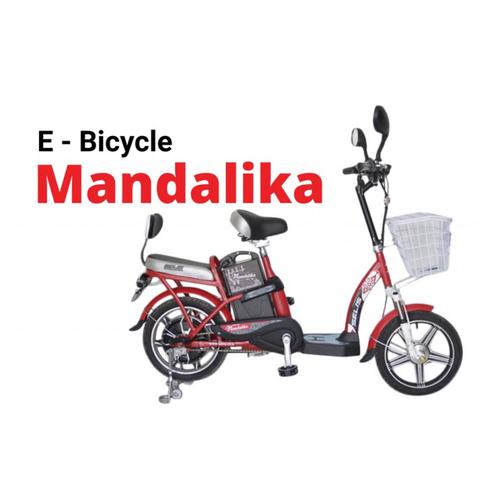 Jual Sepeda Listrik Selis Tipe Mandalika E-Bicycle 350 Watt - Black ...