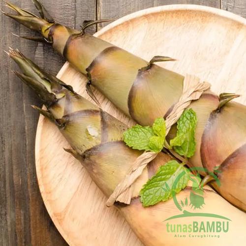 Jual Rebung bambu sayur Bamboo Shoot hasil kebun - Kab. Lebak ...