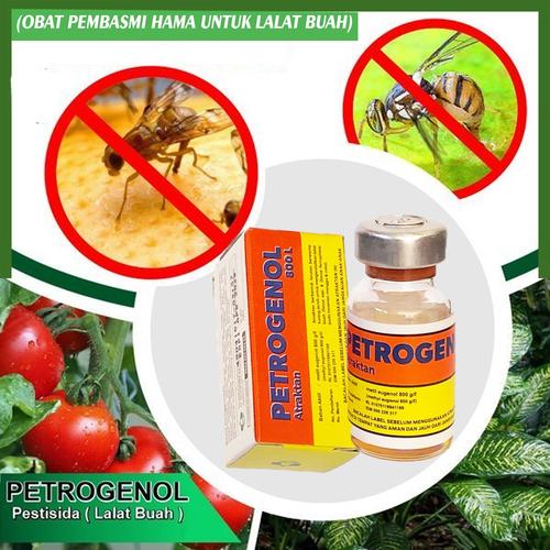 Promo Petrogenol Atraktan 800L Obat Pembasmi Lalat Buah Perangkap Lalat ...