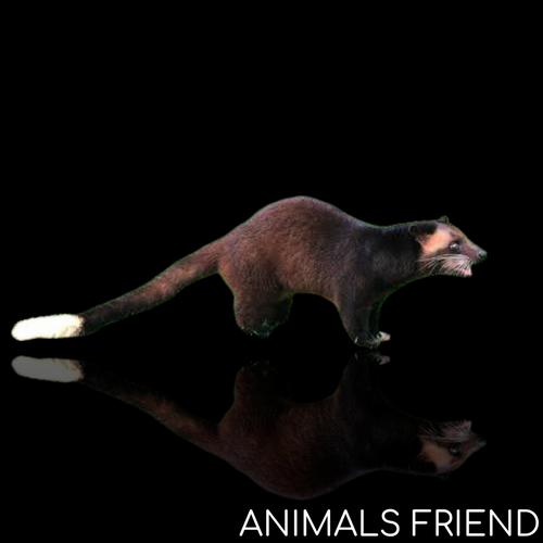 Promo MUSANG BULAN Cicil 0% 3x - Kota Tangerang - Animal Friends ID ...