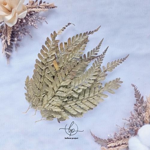 Jual (10 pcs) DAUN PAKIS KERING HIASAN MAHAR RINGBOX KERAJINAN TANGAN ...