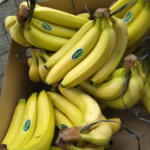 Jual Buah pisang sunpride | pisang canvedish - 1kg - Jakarta Utara ...