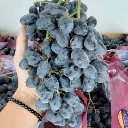 Jual buah anggur hitam fresh manis 1kg - 500GRAM - Jakarta Barat ...