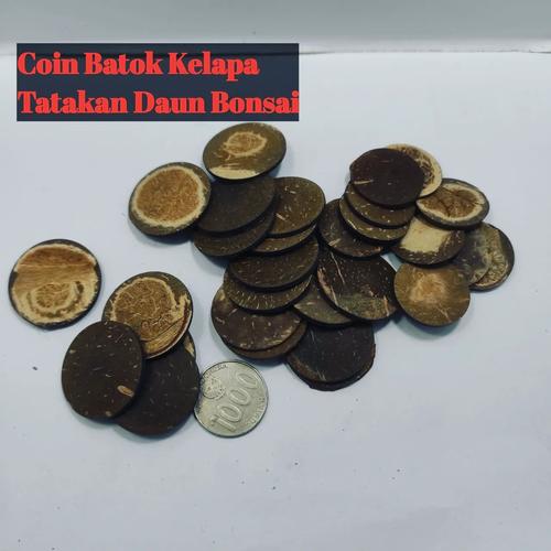 Jual Koin batok kelapa tatakan daun bonsai aquascape - 3cm - Kota Tegal ...