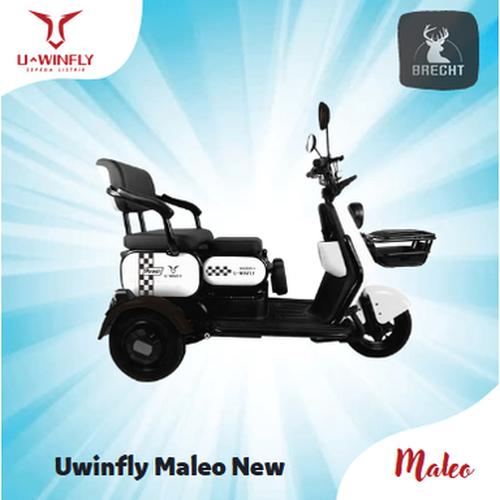 Jual Sepeda Listrik Roda Tiga Uwinfly Maleo Plus New Series - Hijau ...
