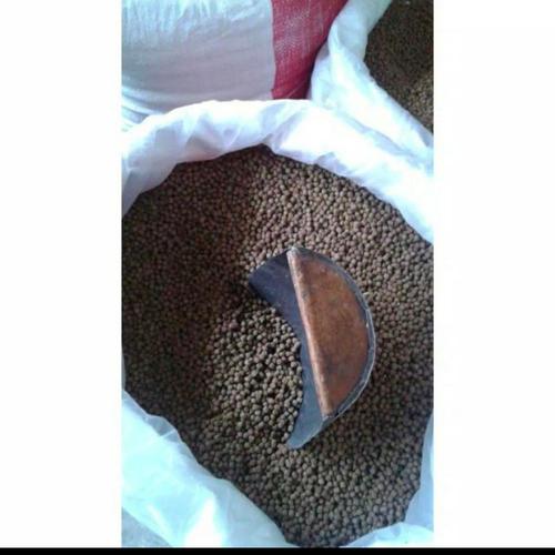 Jual Pelet Lele-Pelet ikan Air tawar 1kg - Pakan Ikan lele Gurame nila ...