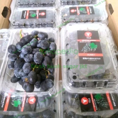 Jual BUAH ANGGUR AUTUMN ROYAL SEEDLES GRAPES PER PACK - Jakarta Barat ...