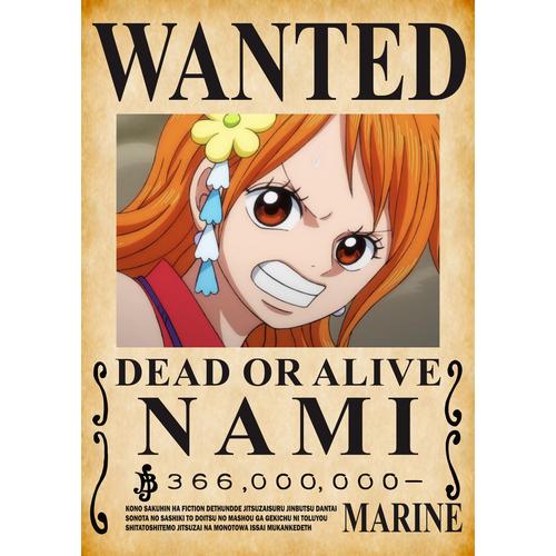 Jual Wanted Poster Bounty TERBARU One Piece Straw Hat Pirates Crew A4 ...