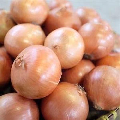 Jual bawang bombay besar dan kecil onion - Kota Depok - Toko Mak Laris ...
