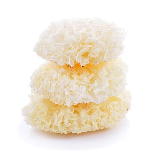 Jual BaiMuEr Yin Er Yiner Jamur Putih Kering Bai Mu Er White Fungus ...