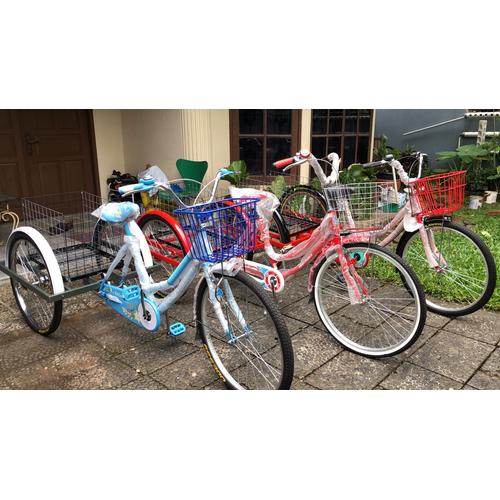 Jual Sepeda Roda Tiga Dewasa Cargo Keranjang - FullSusp - Jakarta ...