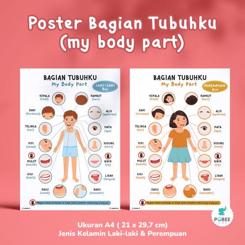 Jual Poster Edukasi Anak | Poster Anatomi Tubuh | Poster Anggota Tubuh ...