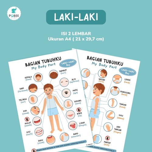 Promo Poster Edukasi Anak | Poster Anatomi Tubuh | Poster Anggota Tubuh ... Promo Poster Edukasi Anak | Poster Anatomi Tubuh | Poster Anggota Tubuh ...