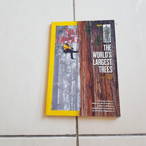 Jual Majalah Bahasa Inggris National Geographic Dec 2012 Largest Trees ...