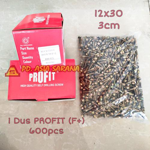 Jual [DUS] Paku Roofing 3cm PROFIT Kuning Baut Skrup Holo Atap Sekrup ...