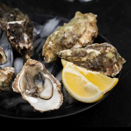 Jual Kerang Tiram Oyster Segar Hidup Live Seafood 1Kg - Jakarta Utara ...