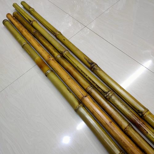 Jual Tongkat Pramuka Bambu Halus| Tongkat Bambu Halus 160cm|Tongkat ...