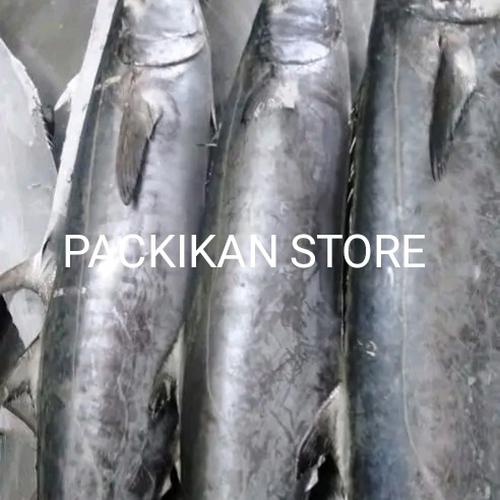 Jual TENGGIRI JANTAN FRESH DAN SEGAR BERGARASI - Jakarta Utara ...