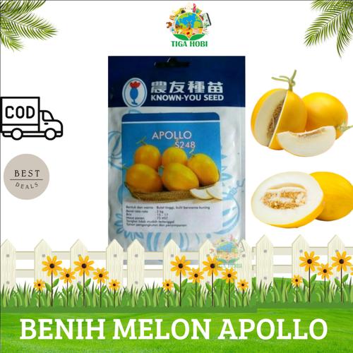 Jual BENIH MELON APOLLO 20GRAM biji melon golden emas kuning known you ...