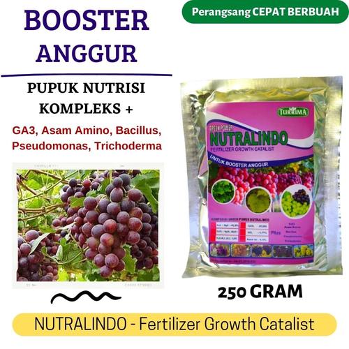 Jual Pupuk Organik Booster Buah Anggur, Obat Penyakit Bercak Daun ...