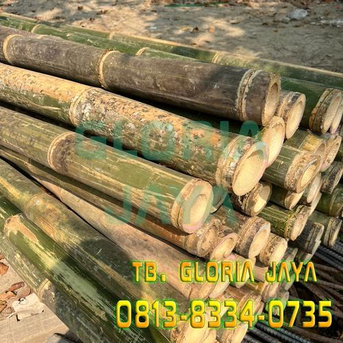 Jual bambu besar untuk keperluan konstruksi diameter besar - Jakarta ...