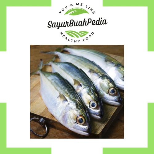 Jual Fresh Ikan Kembung Segar - 500gr - SayurBuah Pedia - Kota Denpasar ...