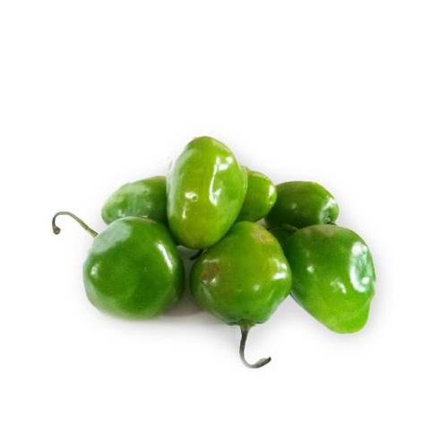 Jual Cabe Gendot Ijo 100gr Cabai Gendot Hijau Gendot Hejo - Kota ...