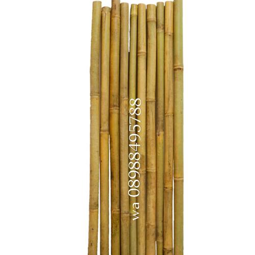 Jual PATOK BAMBU UNTUK TIANG BENDERA - Kota Depok - ladang tanaman ...