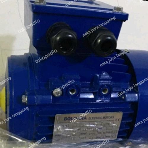 Jual induction electro motor foot mounted B3 single phase 220V 2 pole ...