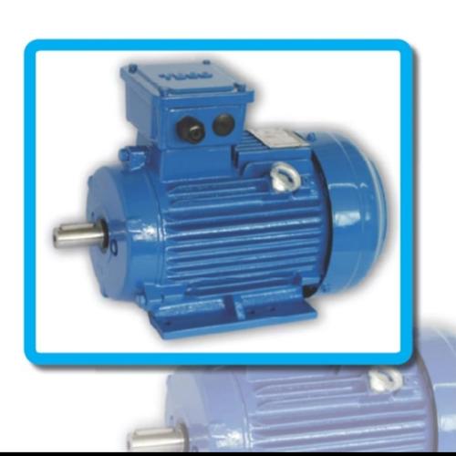 Jual ELECTROMOTOR MERK TECO 50 HP 3PHASE B3 FOOT MOUNTING - 6 POLE - 6 ...