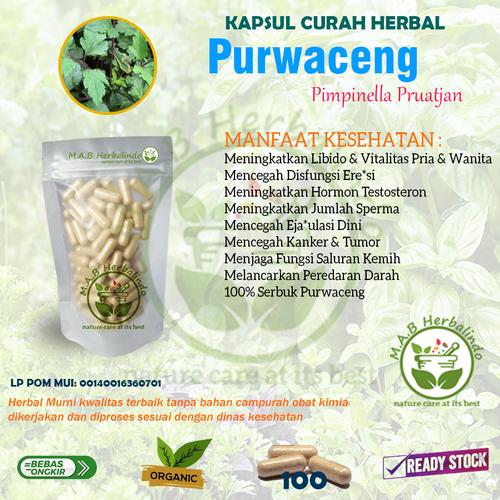 Promo PURWACENG 100 Kapsul Curah Herbal Jamu Kuat Pria Vitalitas Libido ...
